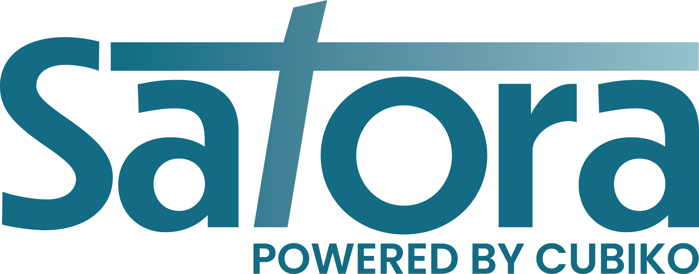 Satora Analytics & Insights | Centaur Software